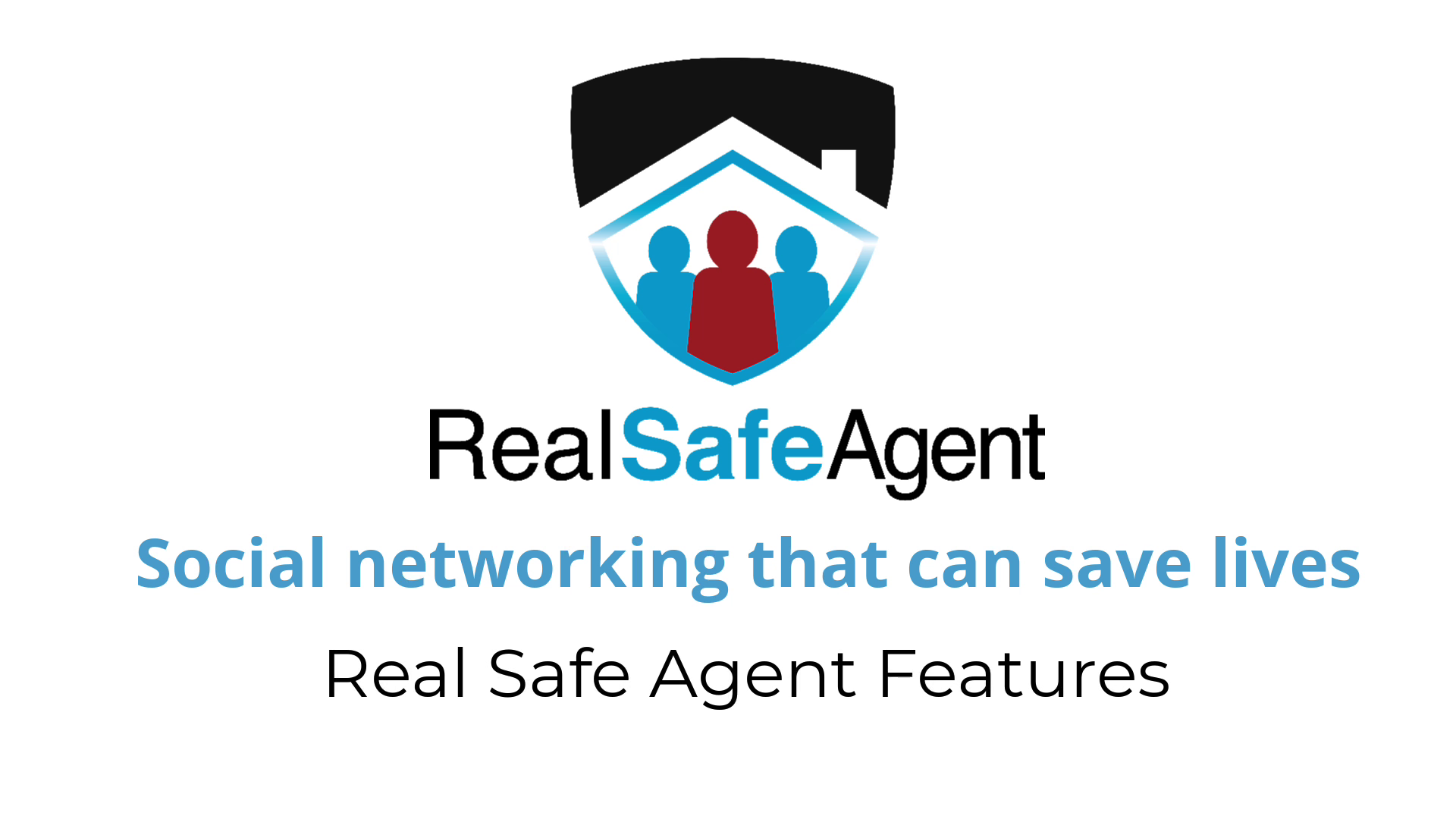 Real Safe Agent Overview
